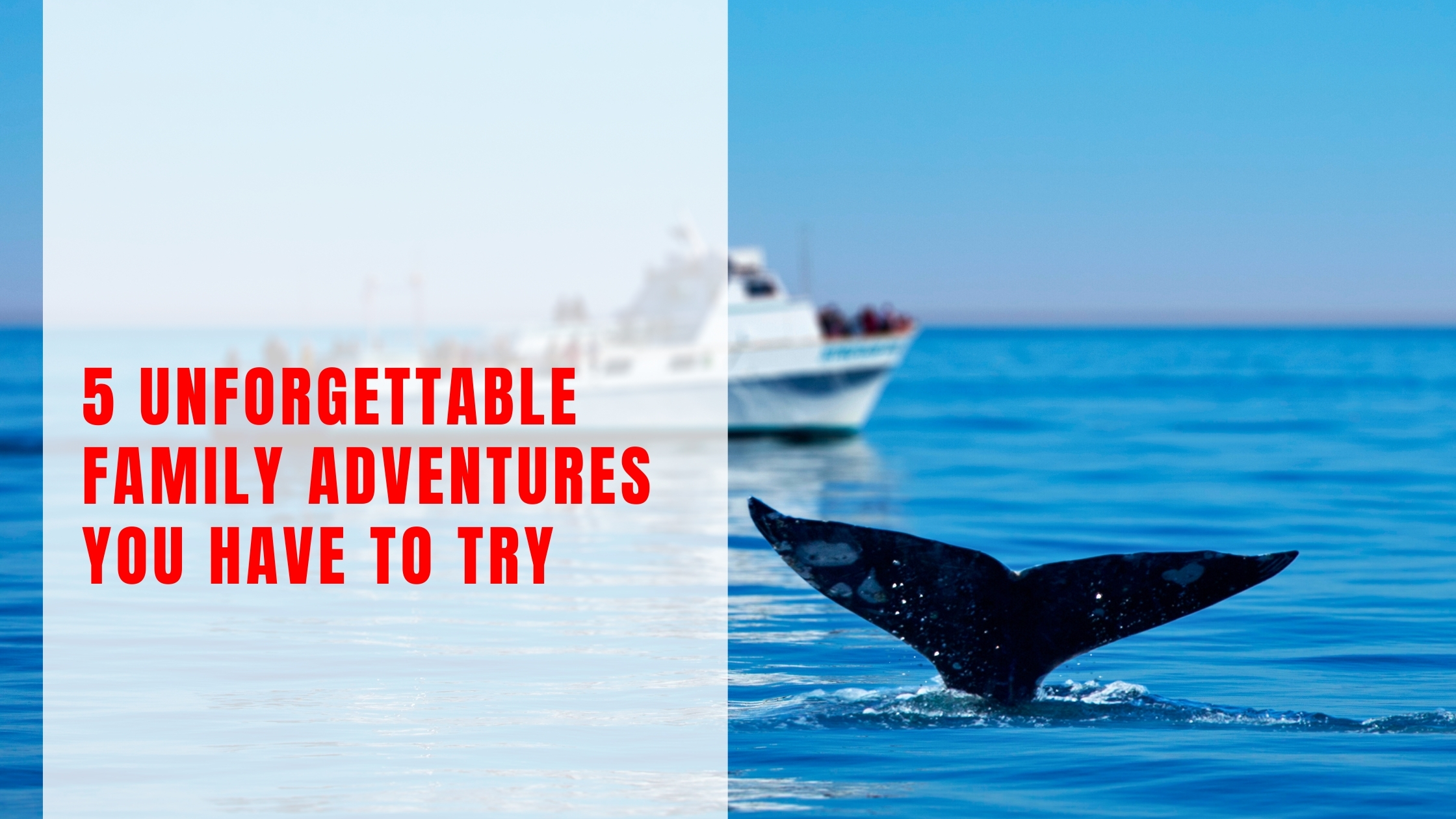 5 Unforgettable Family Adventures You Have to Try in 2025